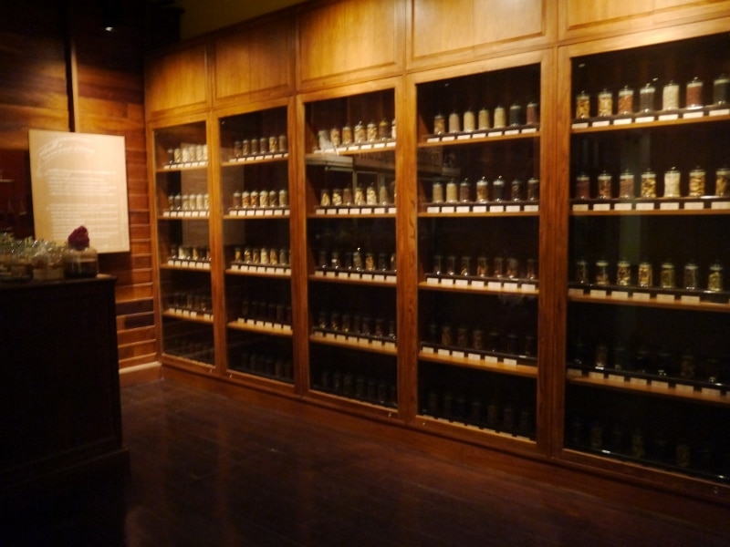 Forensic Medicine Museum, Bangkok - Renegade Travels