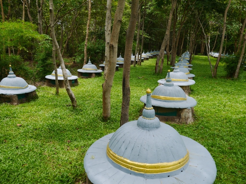 Elephant Graveyard At Ban Ta Klang Elephant Village, Thailand ...