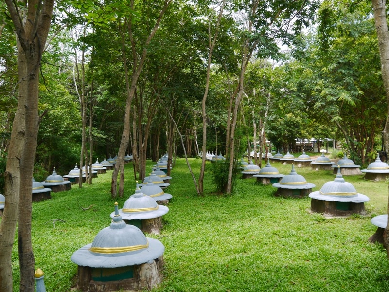 Elephant Graveyard At Ban Ta Klang Elephant Village, Thailand ...