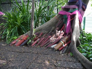 Bangkok's Phallic Shrine - Chao Mae Tuptim - Renegade Travels