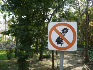 Suan Rot Fai (Railway Park), Bangkok - A Hidden Gem - Renegade Travels